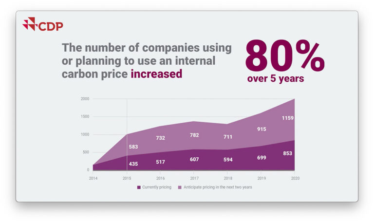 Animated infographic for CDP - SEE Design